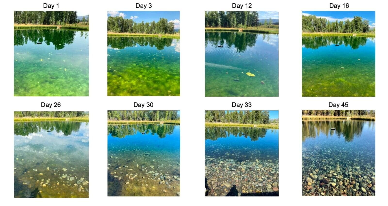 Algae Control Brochures & Info Sheets | Algae Control Australia